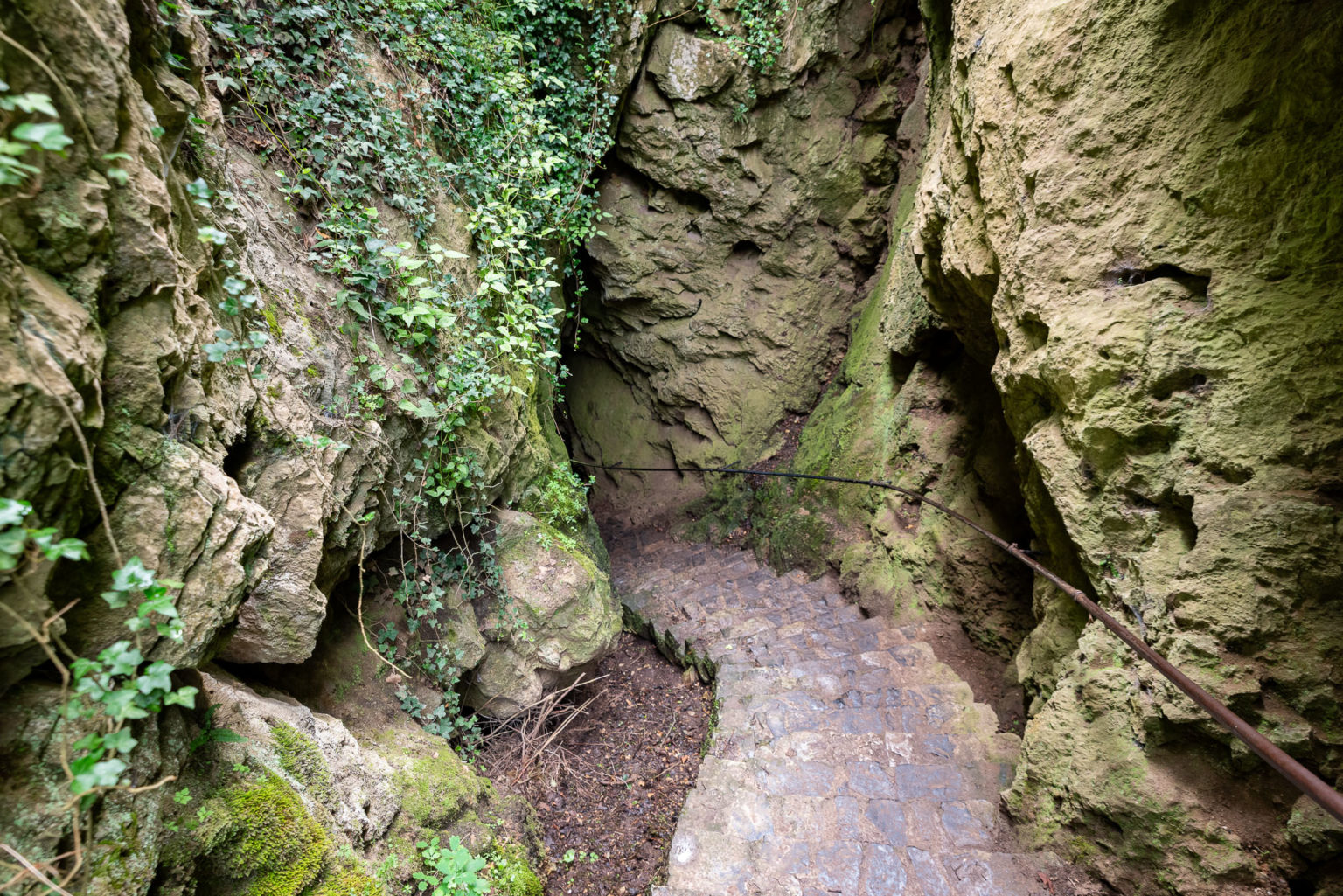 La réserve - Réserve naturelle de Furfooz