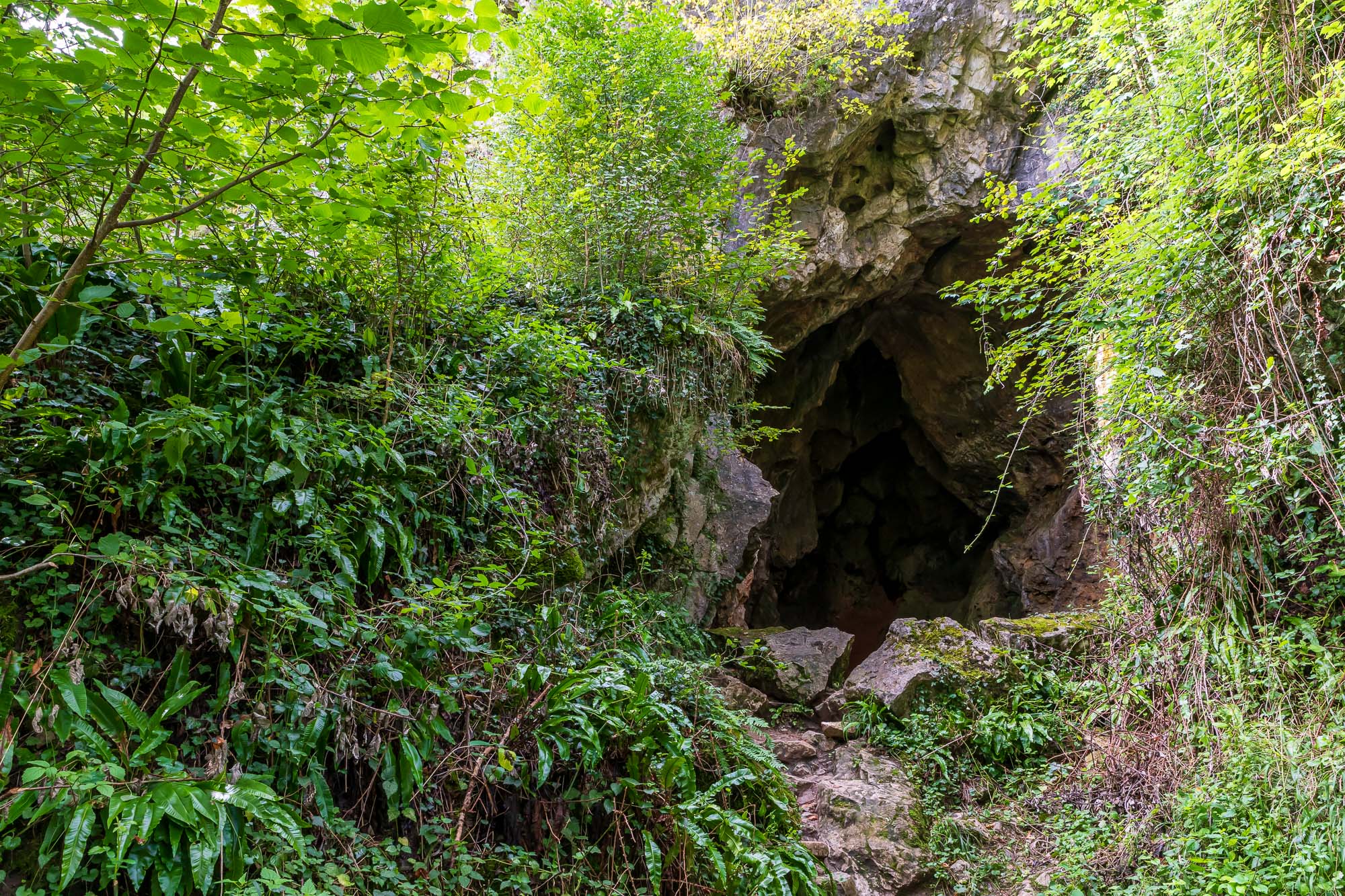 Réserve naturelle de Furfooz - Parc de Furfooz