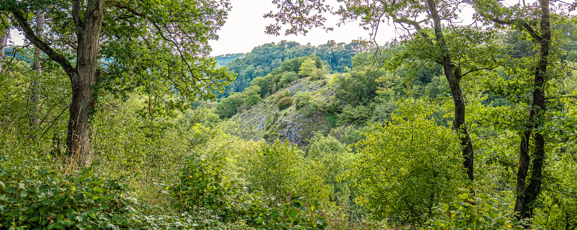 Furfooz nature reserve - The reserve